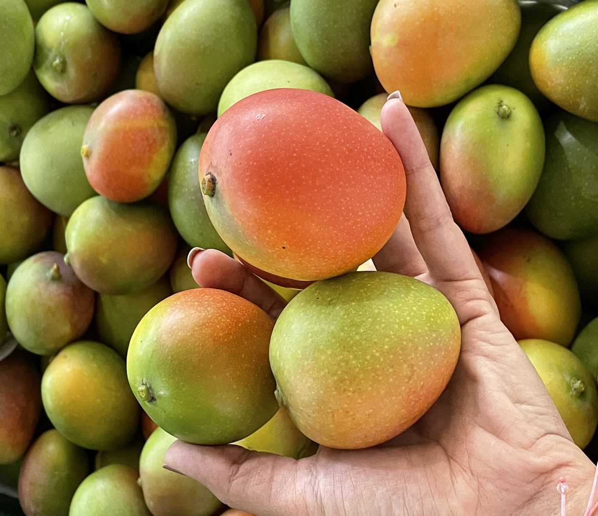 COLFRUTTA - Exotic Colombiam Fruits